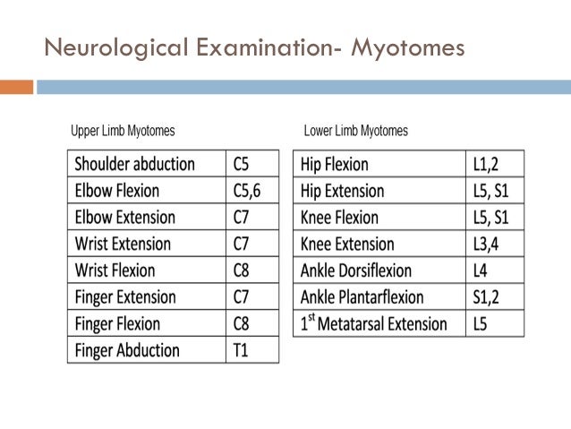 PS SESSION BACK EXAMINATION