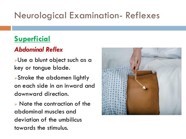 PS SESSION BACK EXAMINATION