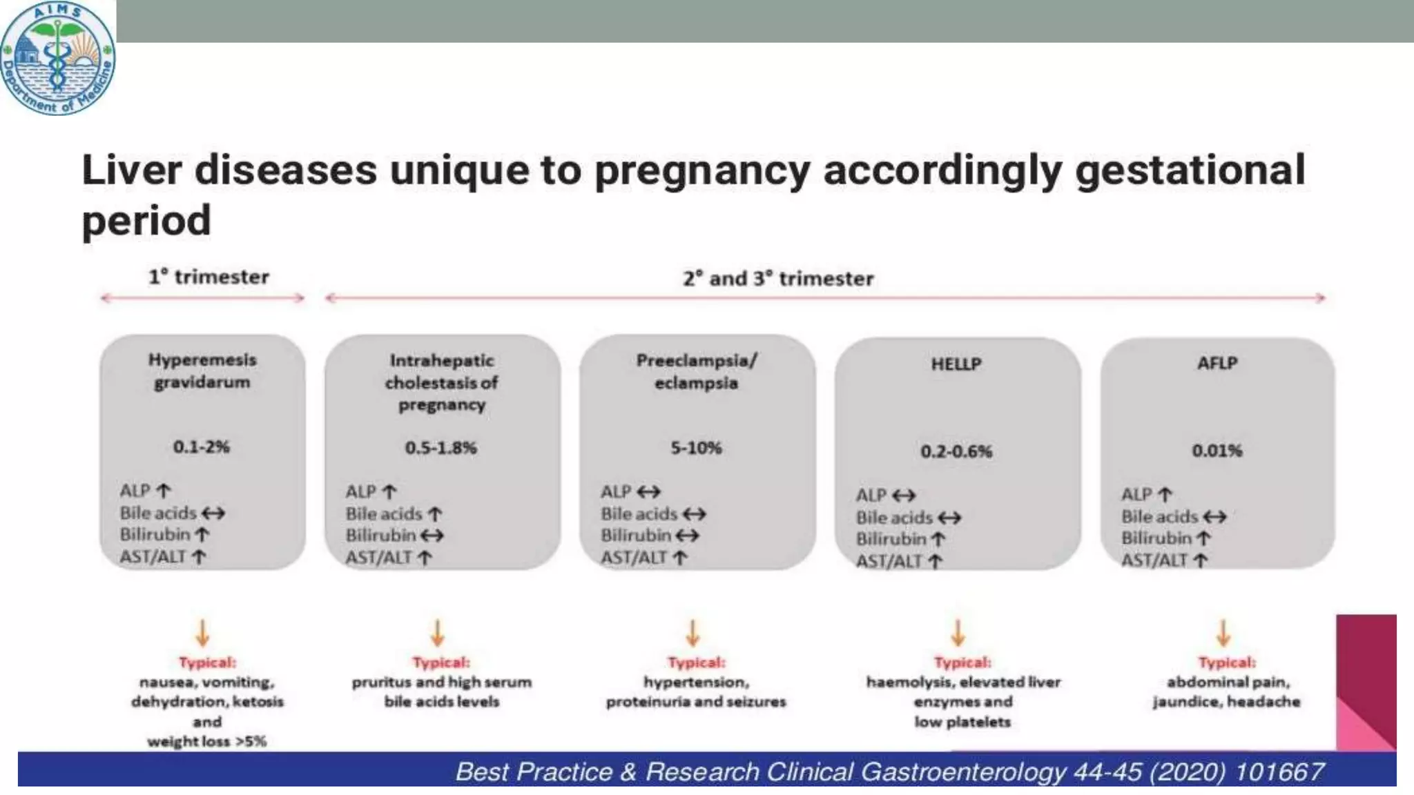 Liver diseases in pregnancy | PPTX | Pregnancy | Reproductive Health