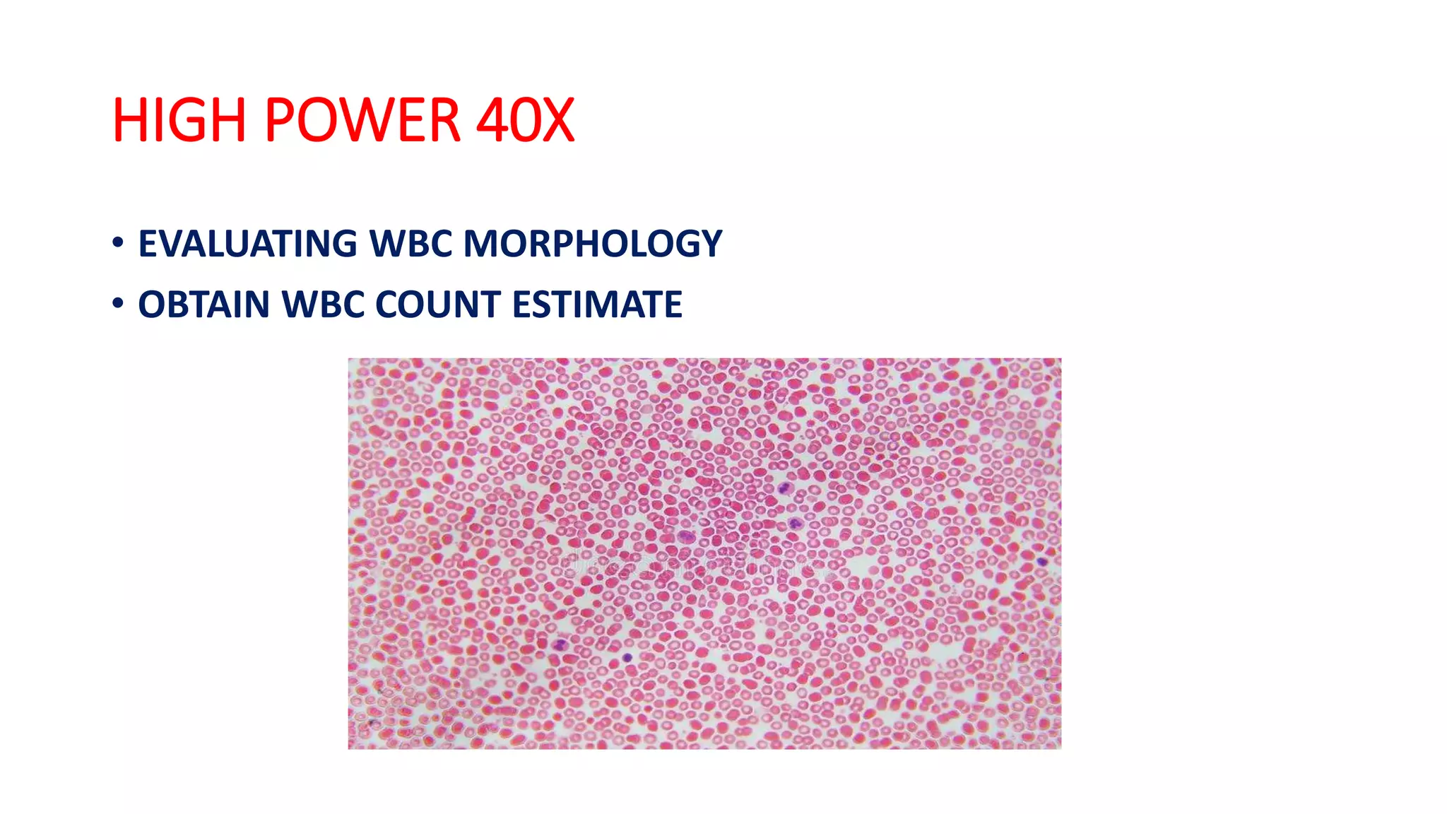 Peripheral smear STAINING.pptx