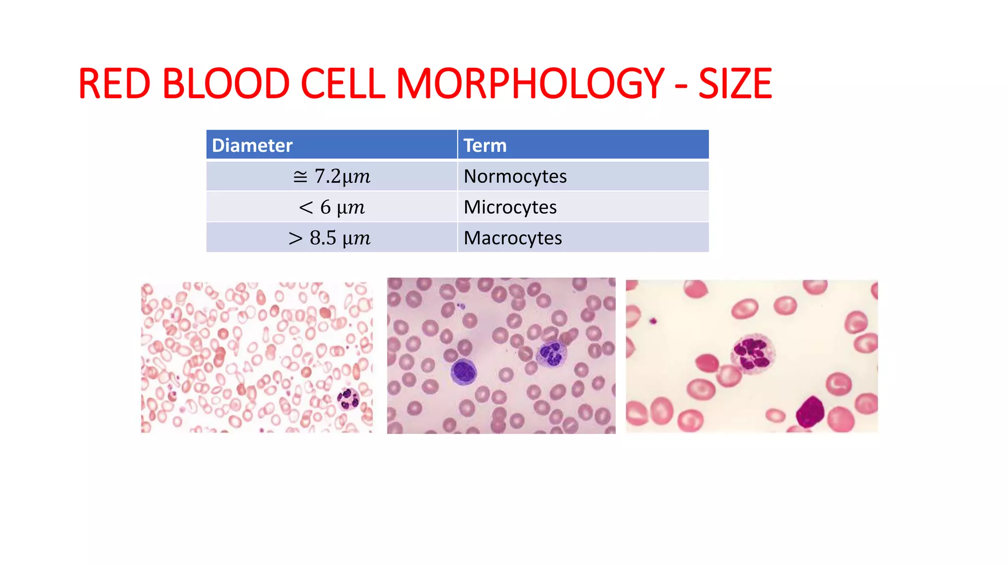 Peripheral smear STAINING.pptx