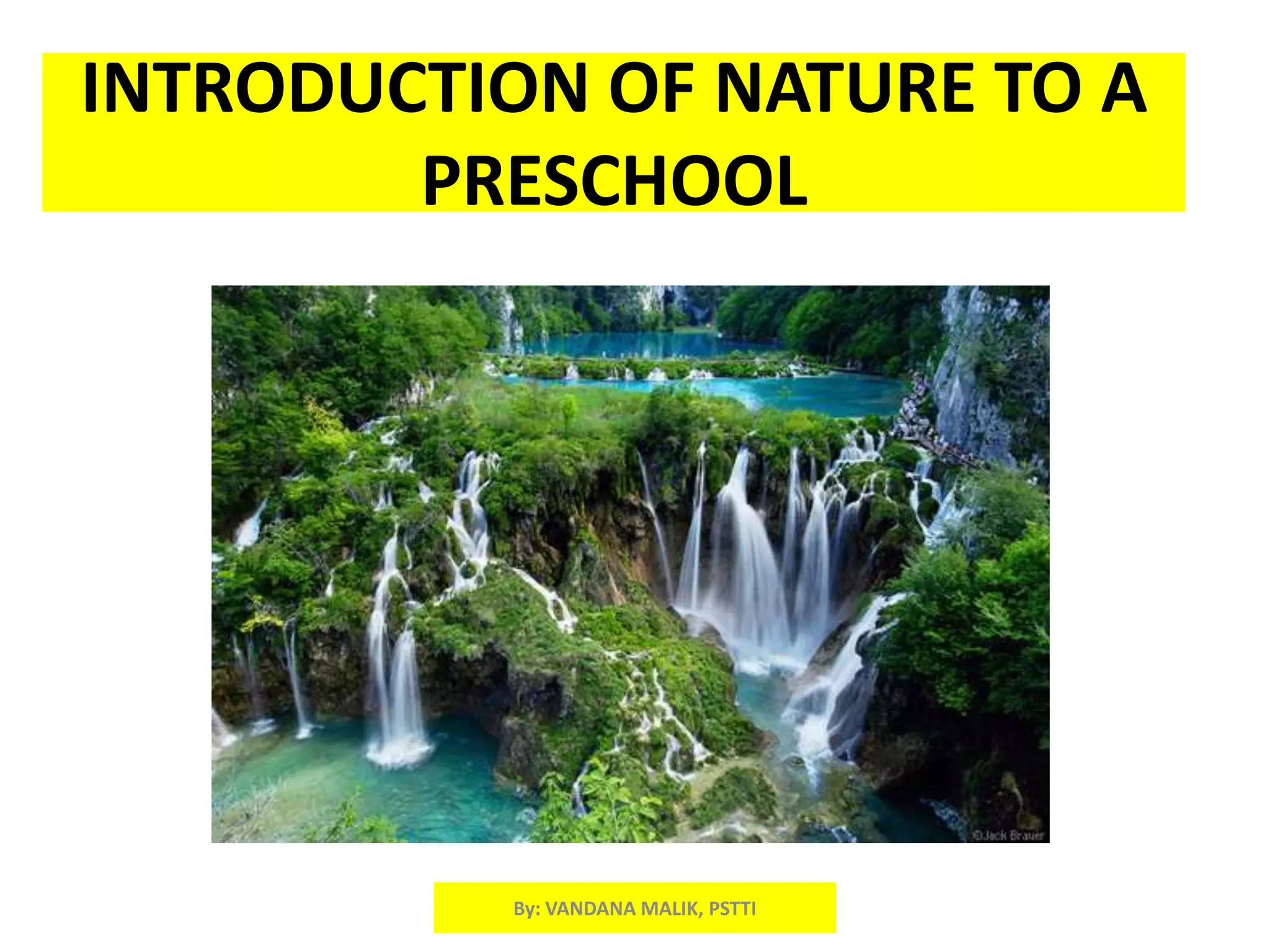 Pstti -Introducing nature to a pre schooler | PPT
