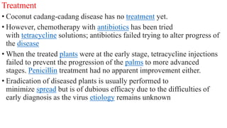 viroid diseases (potato spindle tuber viroid disease),coconut cadang ...