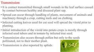 viroid diseases (potato spindle tuber viroid disease),coconut cadang ...