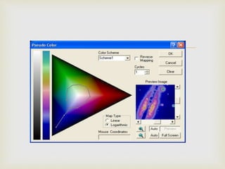 Psuedo color | PPTX