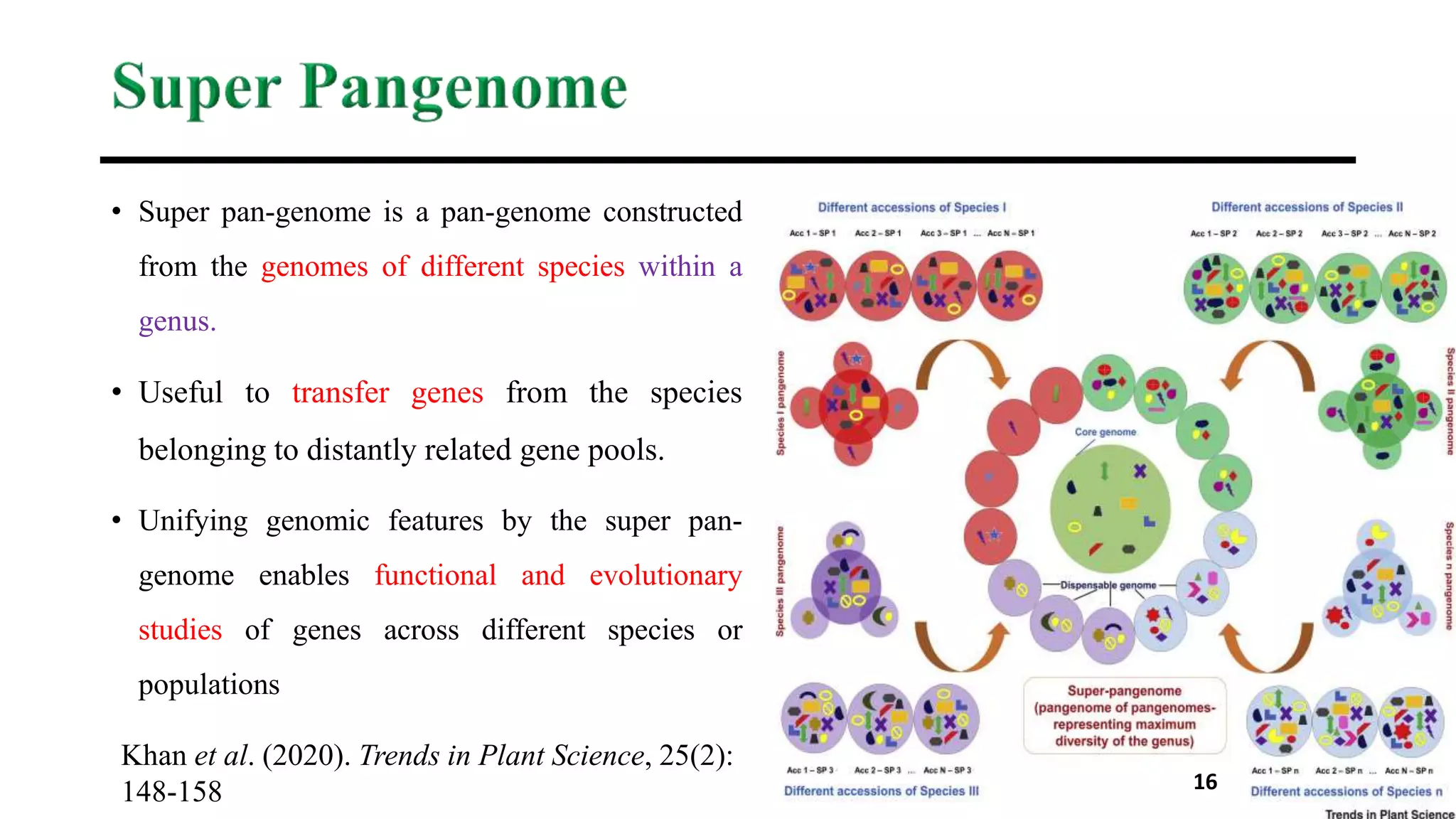 Role of Pangenomics for crop Improvement | PPTX