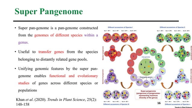 Role of Pangenomics for crop Improvement | PPTX | Genetics | Science