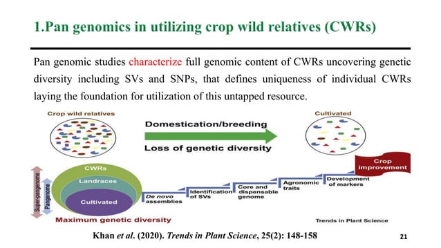 Role of Pangenomics for crop Improvement | PPTX | Genetics | Science