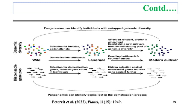Role of Pangenomics for crop Improvement | PPTX | Genetics | Science