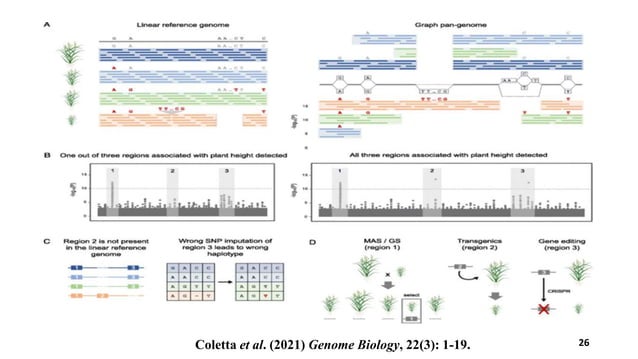 Role of Pangenomics for crop Improvement | PPTX | Genetics | Science