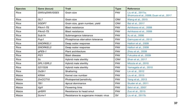 Role of Pangenomics for crop Improvement | PPTX | Genetics | Science