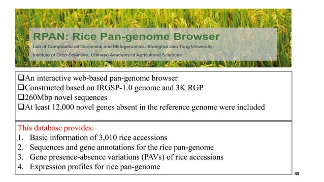 Role of Pangenomics for crop Improvement | PPTX | Genetics | Science