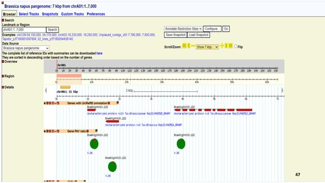 Role of Pangenomics for crop Improvement | PPTX | Genetics | Science