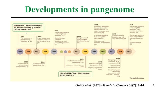 Role of Pangenomics for crop Improvement | PPTX | Genetics | Science