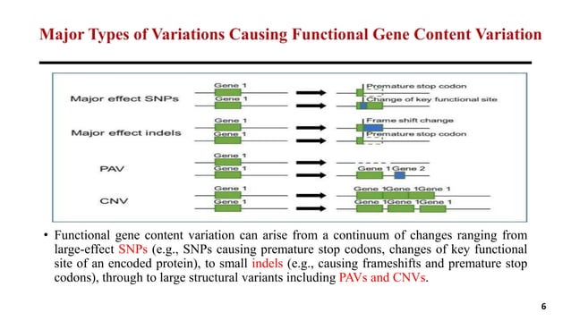 Role of Pangenomics for crop Improvement | PPTX | Genetics | Science