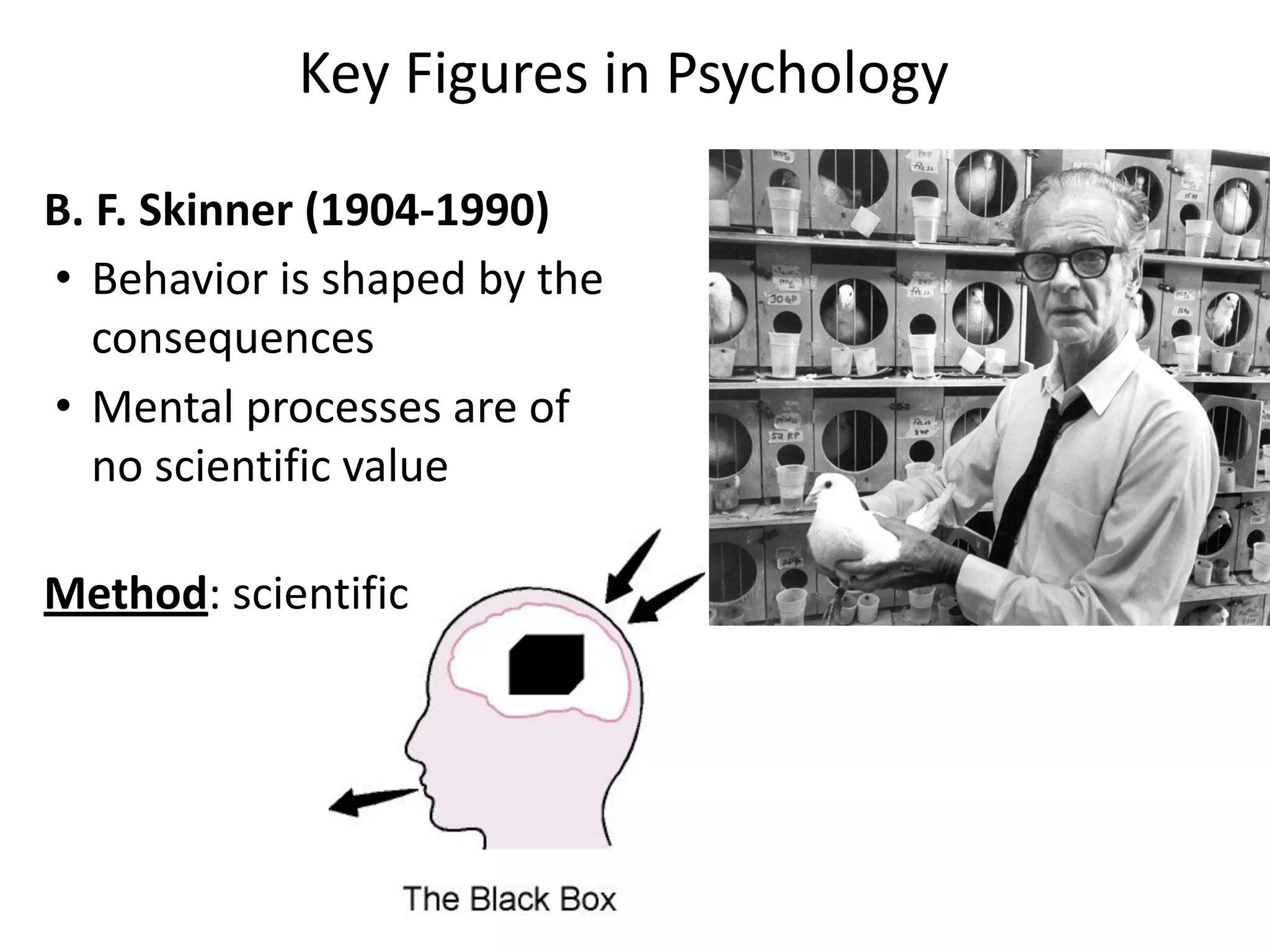 Ch01 Psychological Foundations | PDF