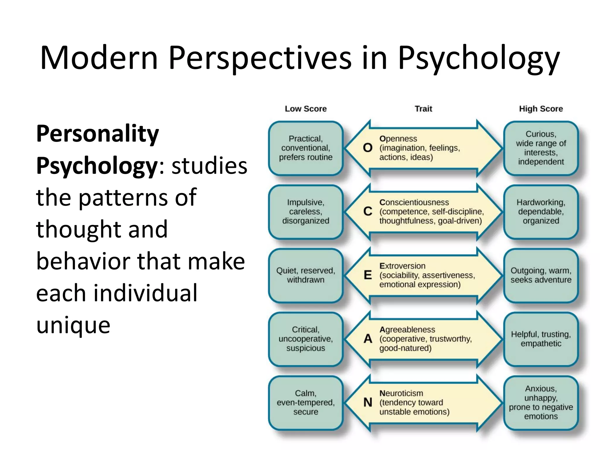 Ch01 Psychological Foundations | PDF