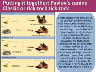 Psychology of Learning | PPT