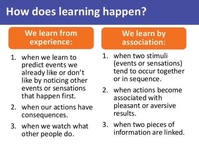 Psychology of Learning