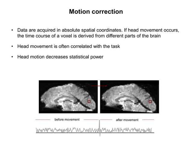 Introduction to fMRI | PPTX | Chemistry | Science