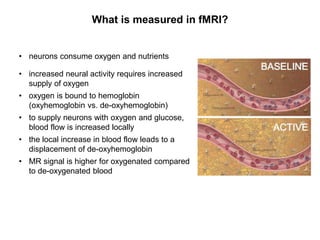 Introduction to fMRI | PPTX