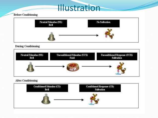 -classical conditioning.pptx
