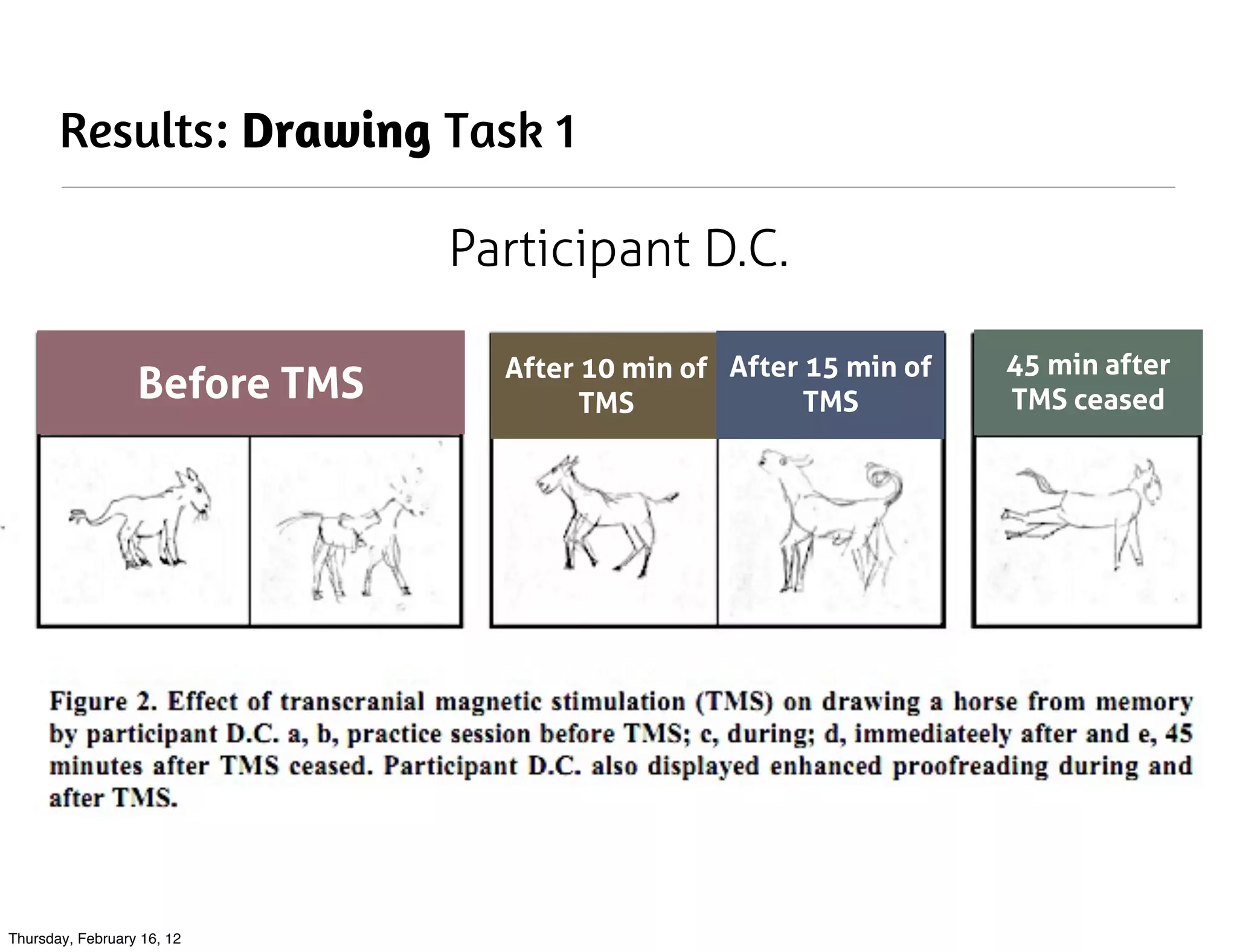 Cognitive Neuropsychology Presentation on TMS | PDF