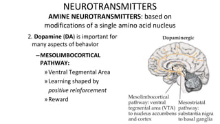 PSY-2 Ch03: The Chemistry of Behavior | PPTX