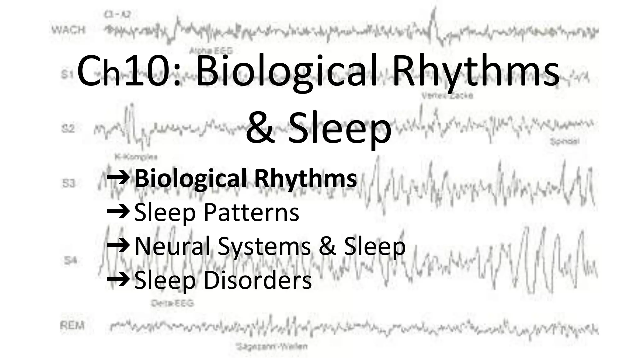 PSY-2 Ch10: Biological Rhythms & Sleep | PPTX