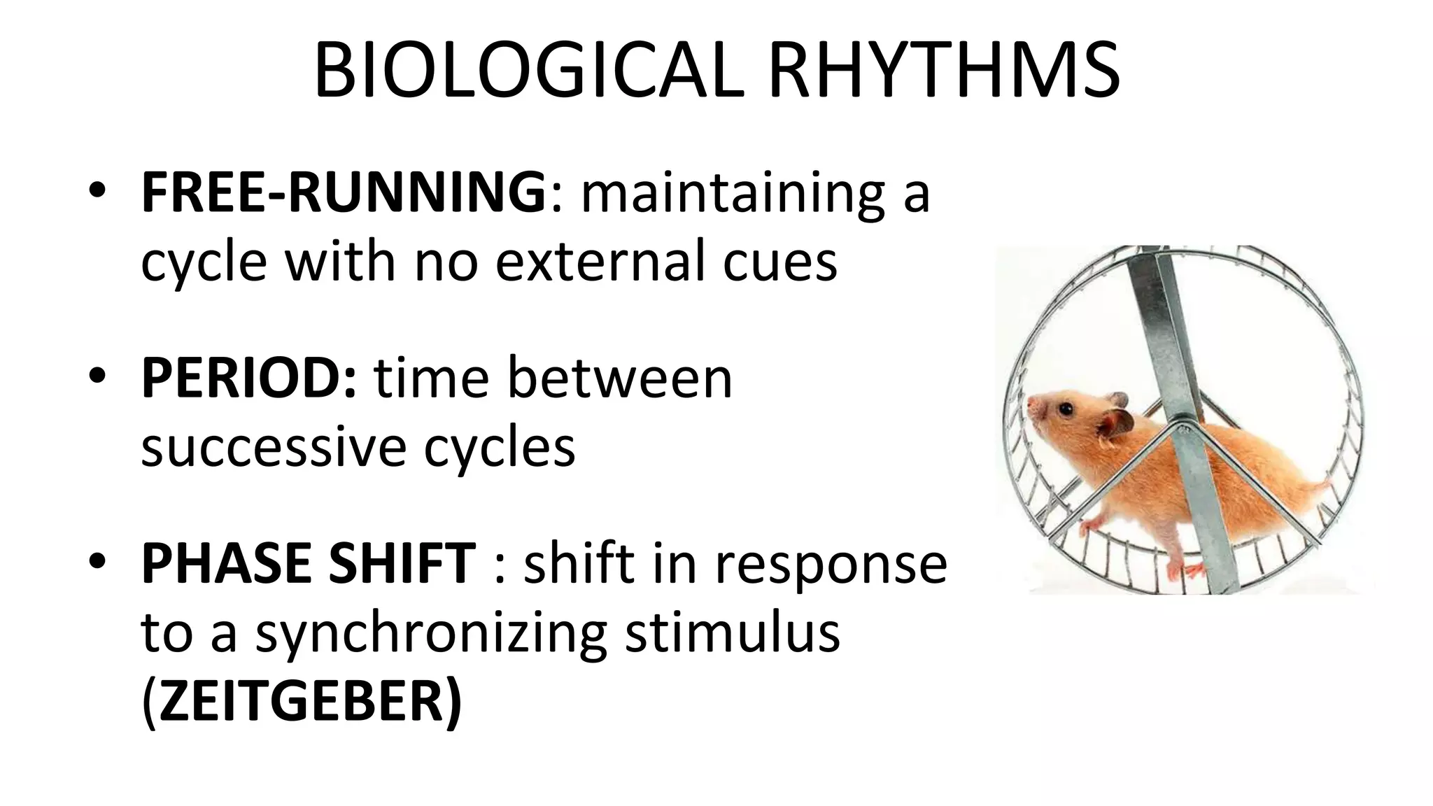 PSY-2 Ch10: Biological Rhythms & Sleep | PPT