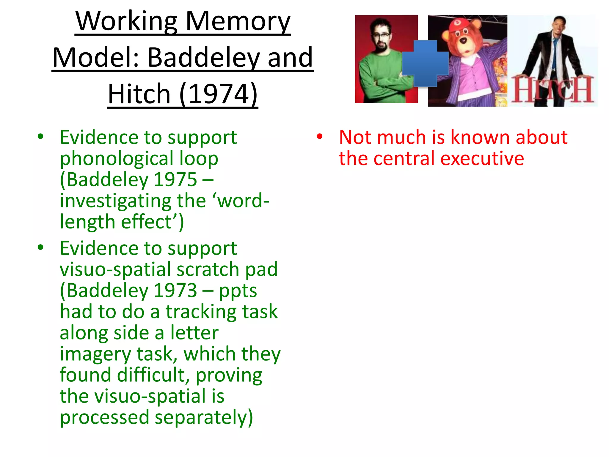 Cognitive psychology - Memory (PSYA1) | PPT