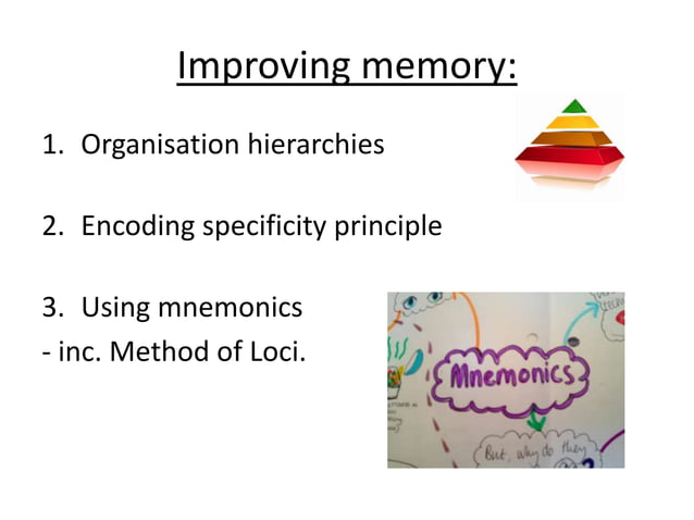 Cognitive psychology - Memory (PSYA1) | PPTX
