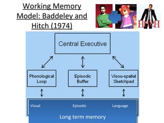 Psya1 researchmethodscognitivetbc-120522140236-phpapp02 (3) | PPT