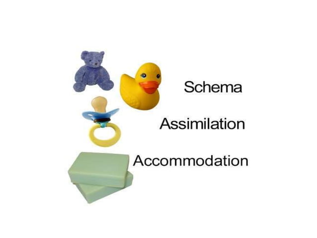 Growth and Development of the Learner | PPTX