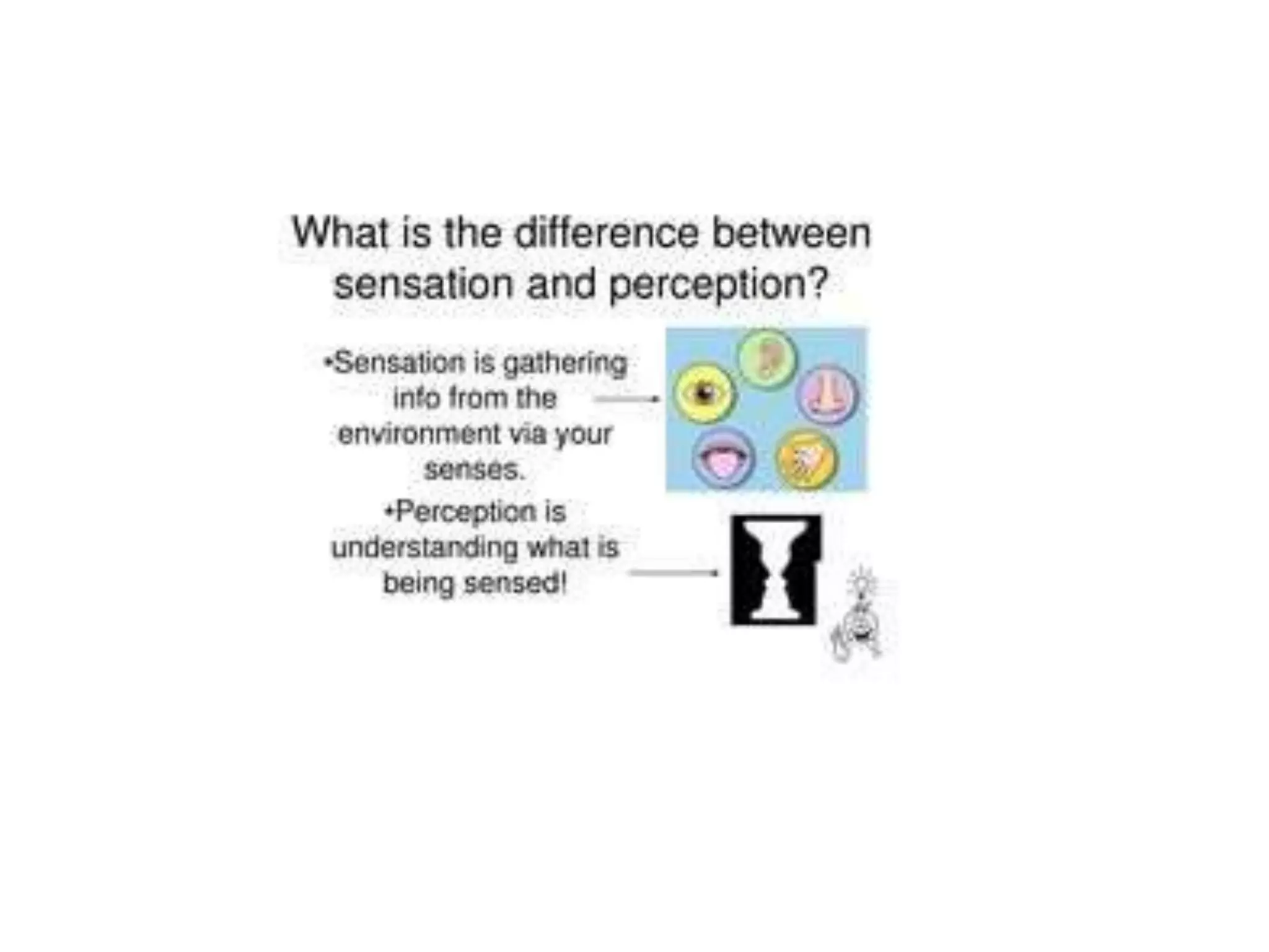 Attention, Sensation, Perception, Memory, Forgetting | PPTX