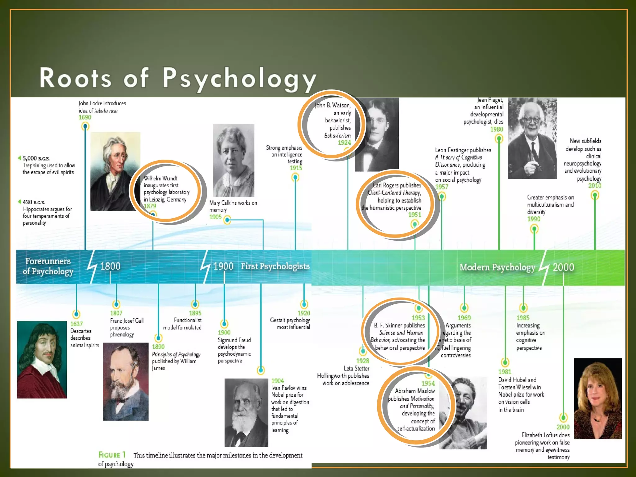psychological perspectives | PPT