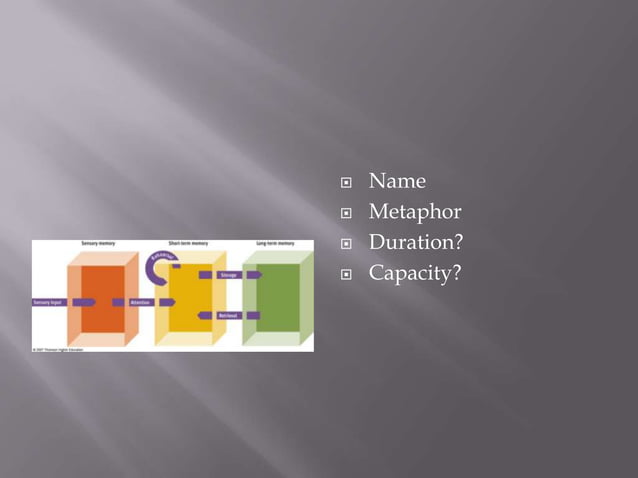 Psyc 1101 Chapter 7 Memory 3 Store Model | PPTX