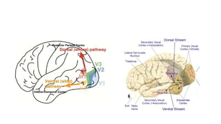 PSYC201 hurtehuin daalgavar gertee hiij ireh.pptx