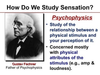 Psyc 2301 chapter five powerpoint 1(1)(1) | PPT