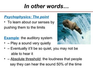 Psyc 2301 chapter five powerpoint 1(1)(1) | PPT