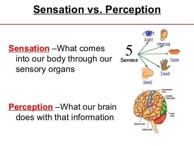 Extrasensory Perception Examples