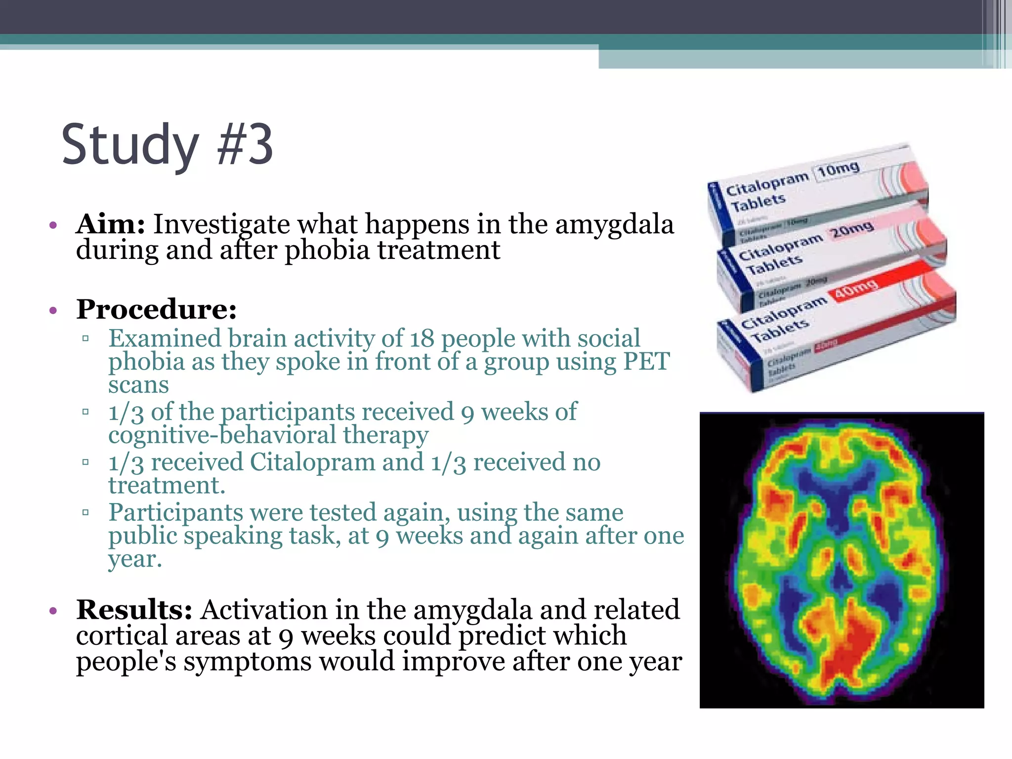 Psych Amygdala Presentation | PPT