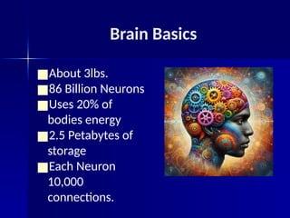 Psychology Class- Intro to Brain Anatomy.pptx