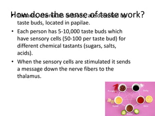 Psych ch3-chemicalsensesslides | PPT