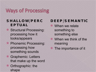 Psych Levels Of Processing Model Of Memory | PPT