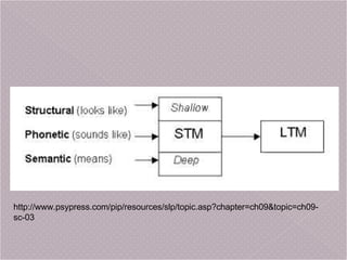 Psych Levels Of Processing Model Of Memory | PPT | Science
