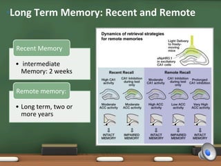 Memory | PDF