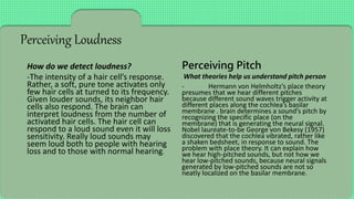 PSYCH1_Chapter6_SensationAndPerception_Group4 (1).pptx