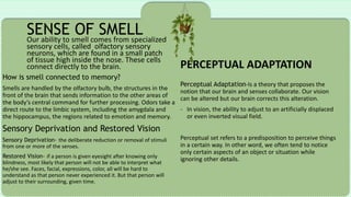 PSYCH1_Chapter6_SensationAndPerception_Group4 (1).pptx