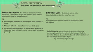 PSYCH1_Chapter6_SensationAndPerception_Group4 (1).pptx
